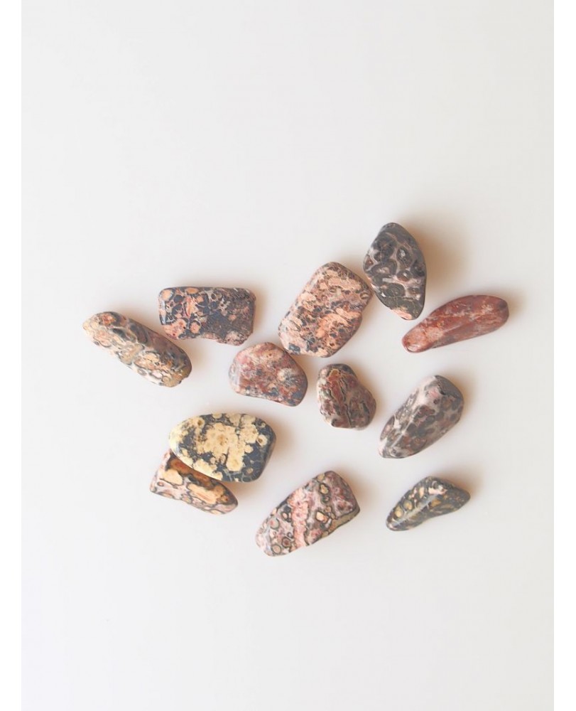 Jaspe Leopardo (Leopardita)